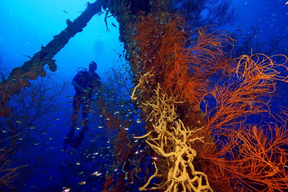 Scuba Diving through WW2 Shipwrecks in Coron Palawan