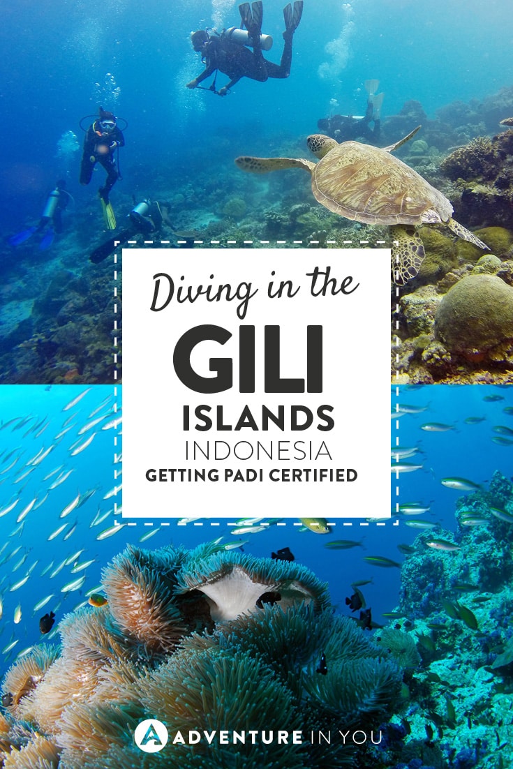 Epic Scuba Diving In Gili Trawangan | DSM Dive School Review