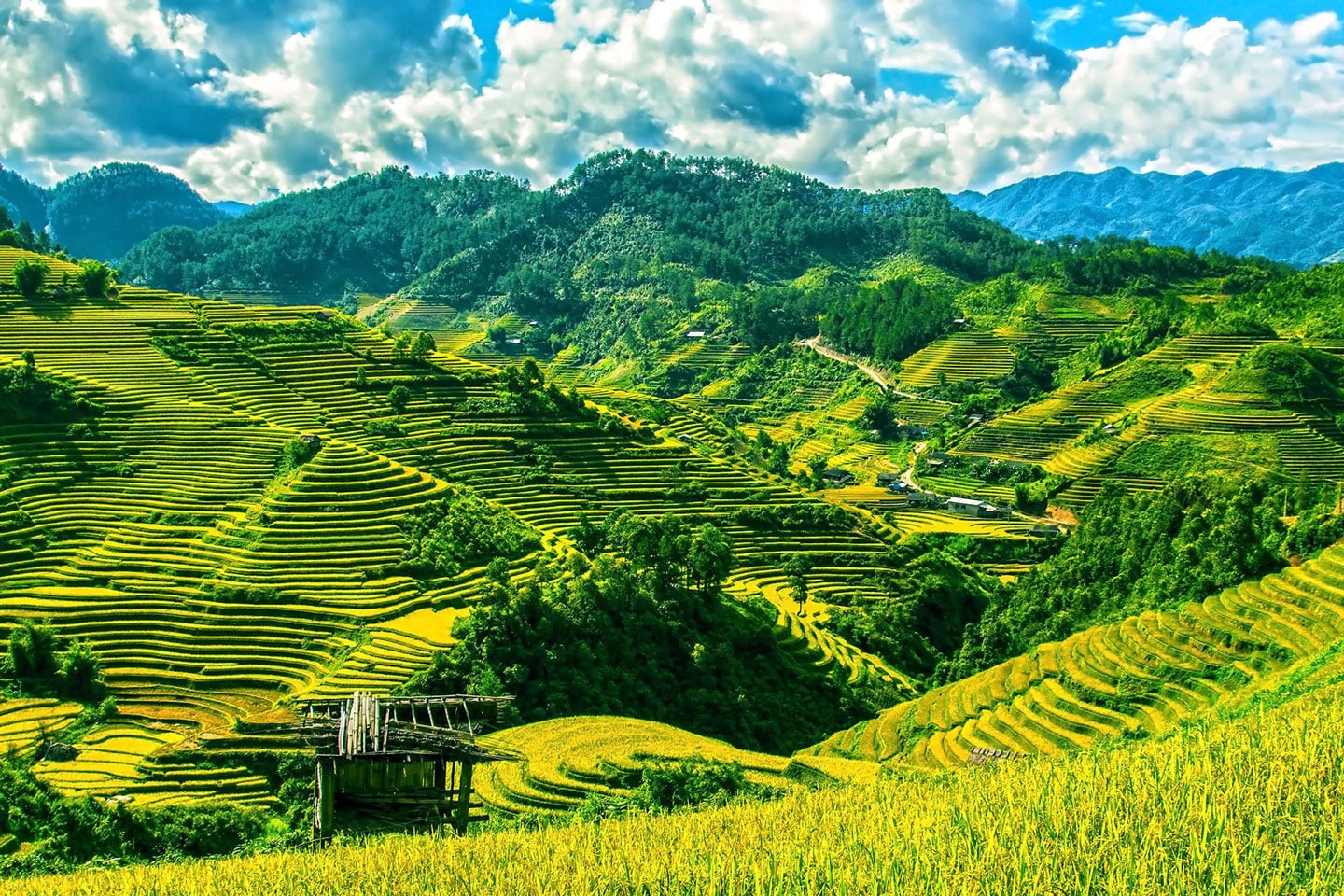 Adventurous Things to Do in Vietnam: The Ultimate List